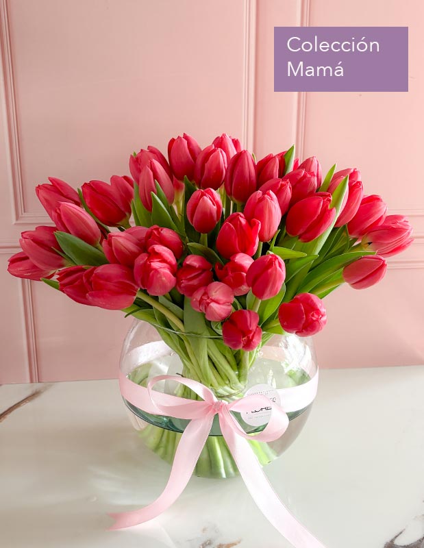 Flores para mama cdmx - Compra en línea el mismo Día – Florerías Guapa ...